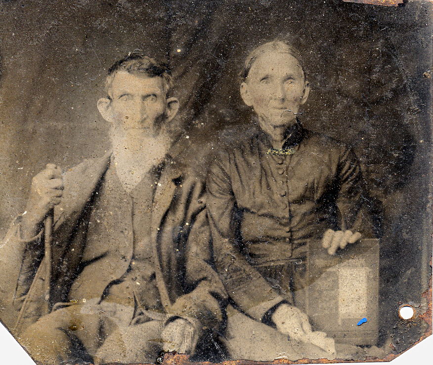 Thacker Family Forest